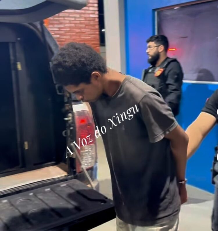 Homem é preso por duplo feminicídio em Novo Repartimento (PA) · A Voz ...